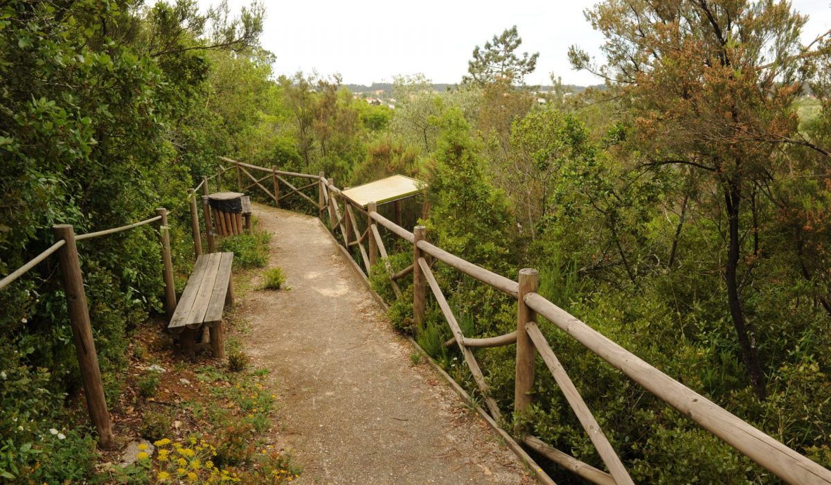 PR1 Rota do Vale do Lapedo – Visite Leiria